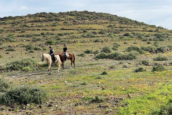 Relaxing Horse Riding Tour in Gran Canaria - Practical Details & Tips