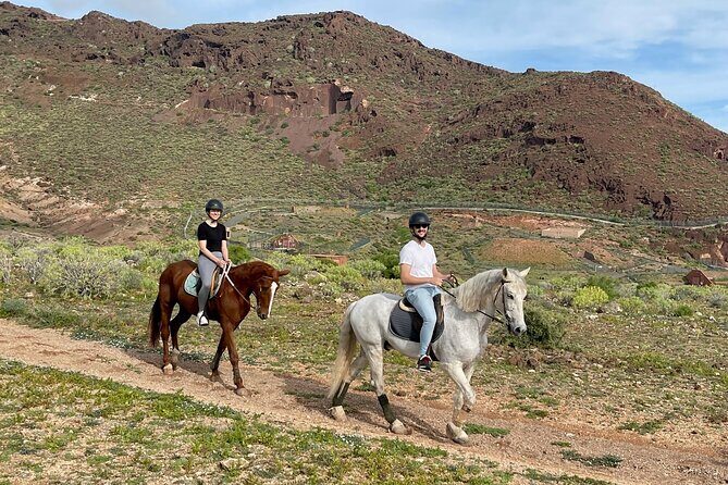 Relaxing Horse Riding Tour in Gran Canaria - Final Thoughts