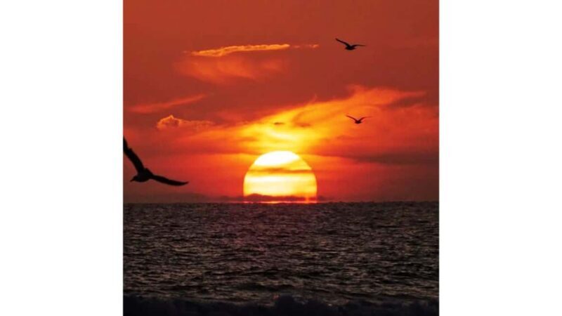 Relaxing Sunset/Evening Cruise in Newport Beach - The Value of This Experience