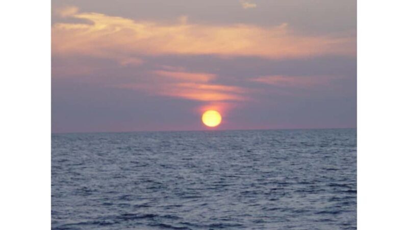 Relaxing Sunset/Evening Cruise in Newport Beach - Practical Tips for Travelers