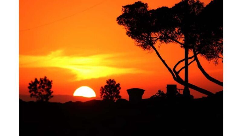 Relaxing Sunset/Evening Cruise in Newport Beach - FAQ