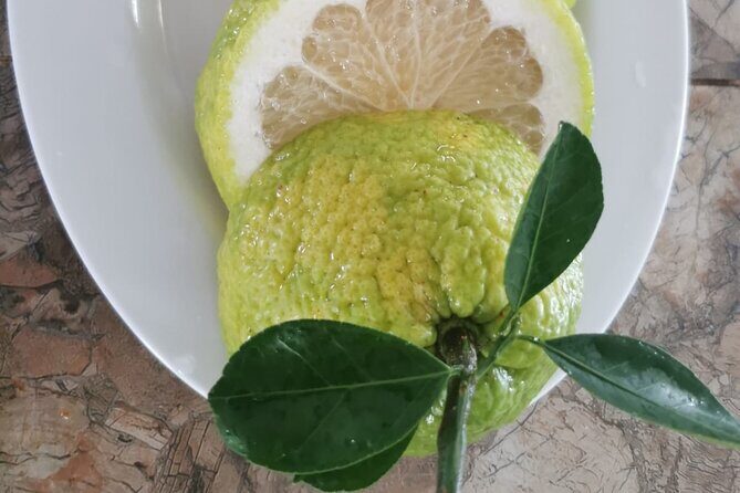 Relaxing Tours in Tropical Paradise Fiji - The Sum Up