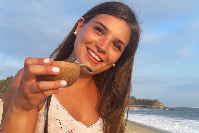 Release of Sea Turtles at Sunset - Key Points  