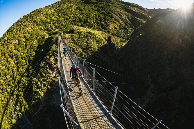 Remutaka Rail Trail Mountain Bike Explorer Cycle Tour - The Sum Up