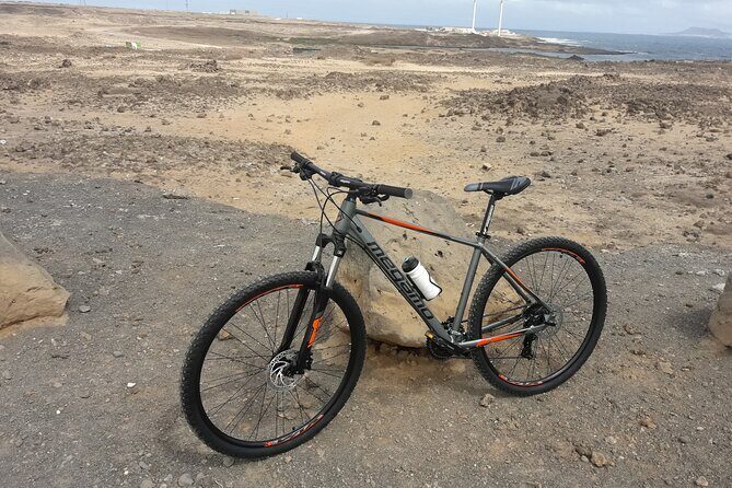 Rent A Bike (electric & Normal) Corralejo - Who Would Love This Experience?  