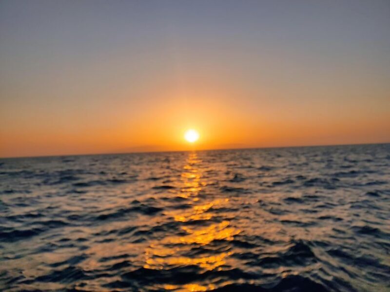 Rent a Boat with No License, Self Drive - The Sum Up