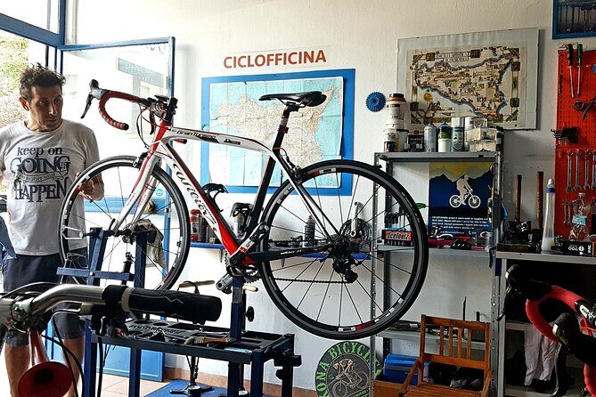 Rent a Carbon or Aluminum Road Bike in Sicily - Who Is This Experience Best For?