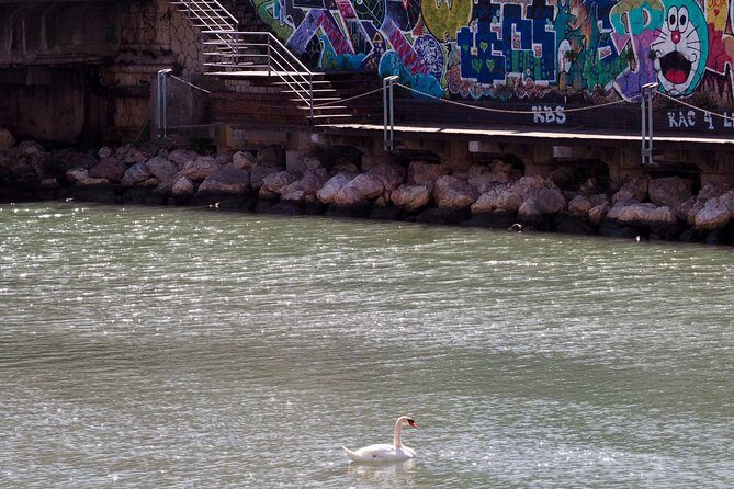 Rent a Trekking bike: Full Day 24 hours - Value and Practicality