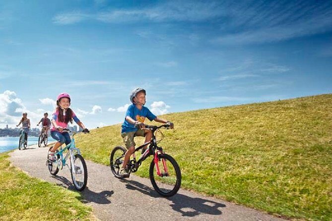 Rent City Bike 18 gears from 4 hours to 7 days: Visit Maspalomas - What’s Included and What to Consider