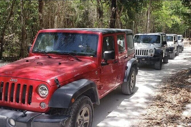 Rent Jeep 4 Doors with Air Conditioning Cozumel Excursion - Key Points