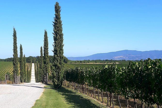 Rent with driver - Practical Details That Matter