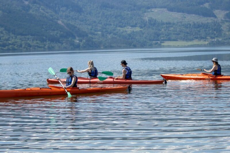 Rental - Sea Kayak - The Sum Up: Who Will Love This Experience?