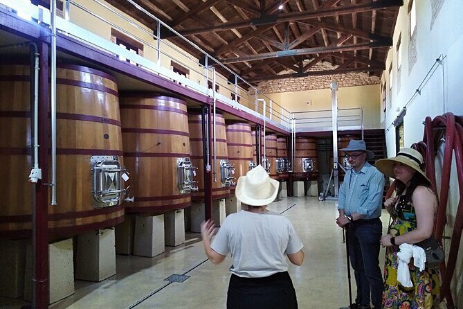 Requena Somm. Private Vineyards/ Premium Wine tasting 1/2 Day - Final Verdict