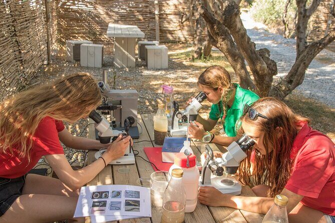 Research diving with a Marine Biologist in Crete - Who Will Love This Tour?
