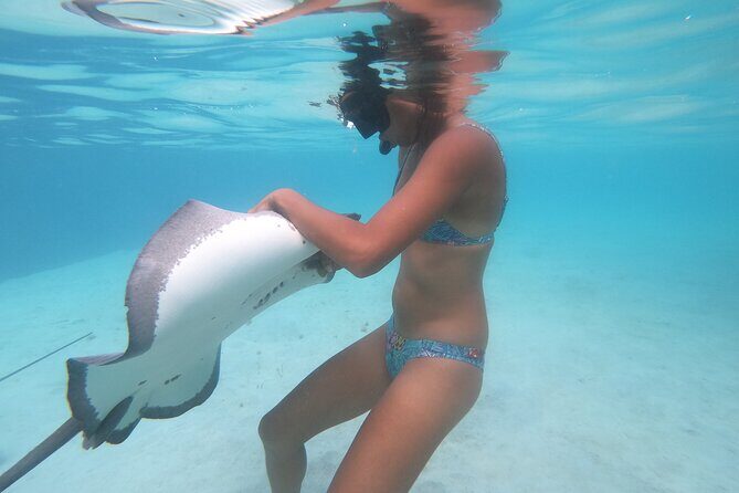 Respectful whale excursion to Tahiti in 4h30 - Who Should Book This Tour?