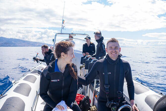 Responsible Whales and/or Dolphins Watching Tour - The Value and Practicalities