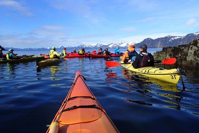 Resurrection Bay Waterfall And Rainforest Adventure - Exploring the Resurrection Bay Waterfall and Rainforest Adventure