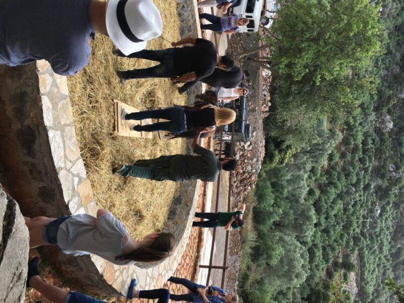 Rethymno 4x4 Safari: Tastes & Farm Experience - Key Points