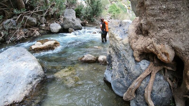 Rethymno: Canyoning Tour in the Kourtaliotiko Gorge - Who Is This Tour Best For?