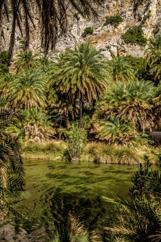 Rethymno: Preveli Palms, Damnioni & Plakia Beach & Canyon - The Sum Up