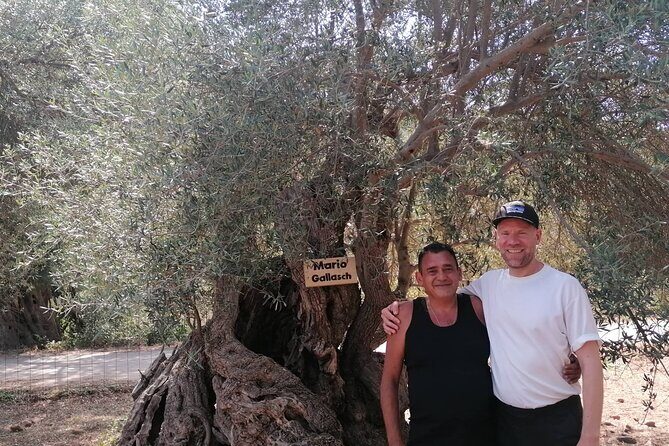 Rethymnon Olive Tree Sponsorship Protect and Plant Tour - Who Should Consider This Tour?