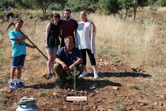 Rethymnon Olive Tree Sponsorship Protect and Plant Tour - The Sum Up