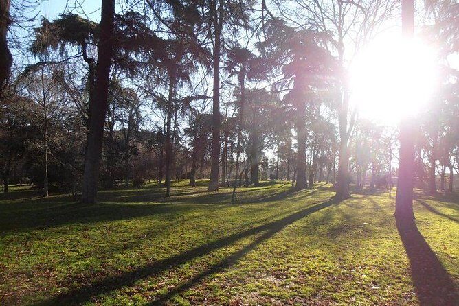 Retiro Park & Prado Museum Private Tour - Why Choose This Tour?