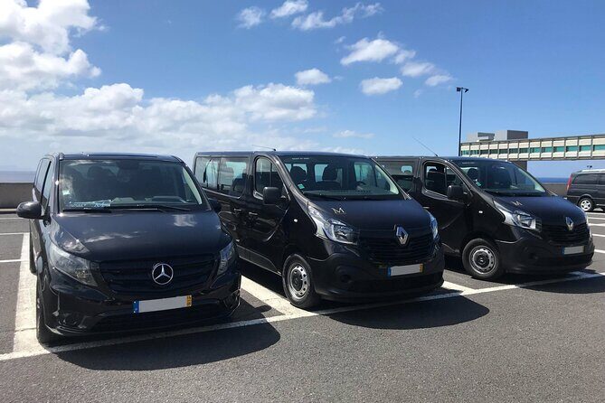 Return Private Transfer Funchal Airport - Introduction: A Closer Look at the Funchal Airport Transfer Experience