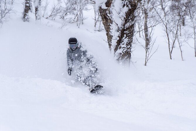 Revelstoke Mountain Photography Tours - What Makes This Tour Stand Out?