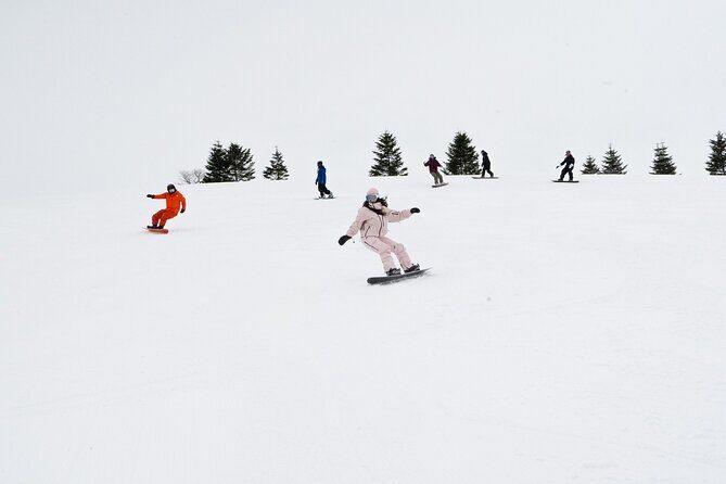 Revelstoke Mountain Photography Tours - Considerations Before Booking