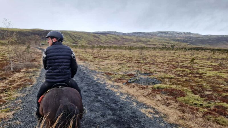 Reykjadalur: Horseback Riding Tour for Families & Beginners - Key Points