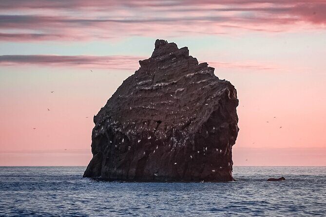 Reykjanes Peninsula Private tour Iceland - Final Thoughts