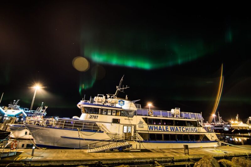 Reykjavik: 2-Hour Northern Lights by Boat with Backup Plan - A Detailed Look at the Tour Experience