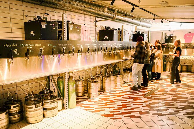 Reykjavík All In One Food Tour - Eat, Drink & Explore with Locals - Practical Tips