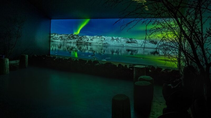 Reykjavik: Aurora Reykjavik The Northern Lights Center Entry - Key Points