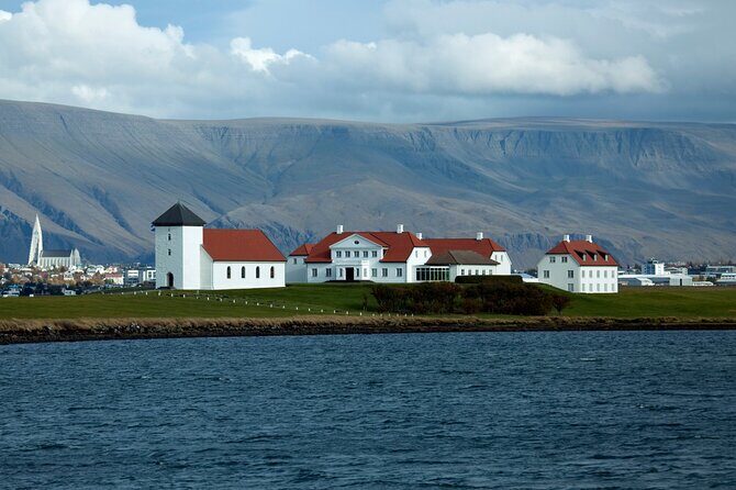 Reykjavik City Private Tour - What the Tour Means for You