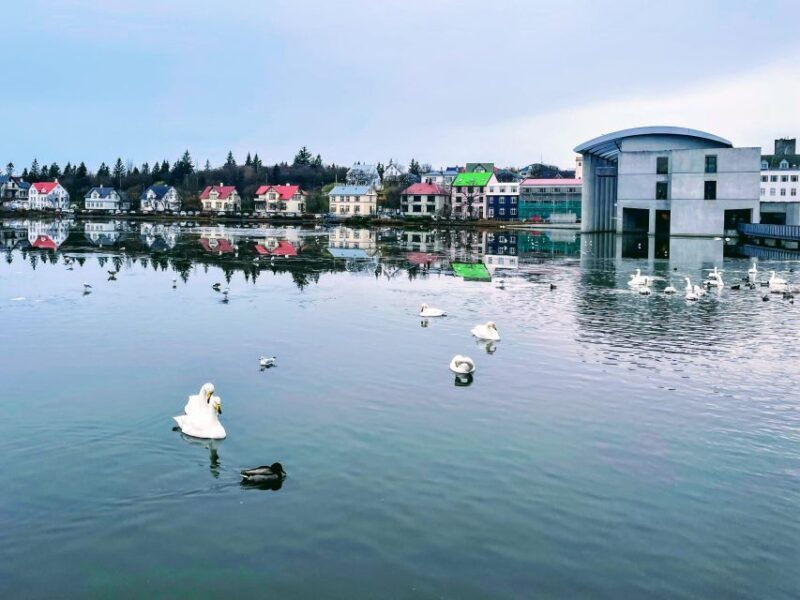 Reykjavik: City Walking tour in Small Group with Local Guide - FAQs