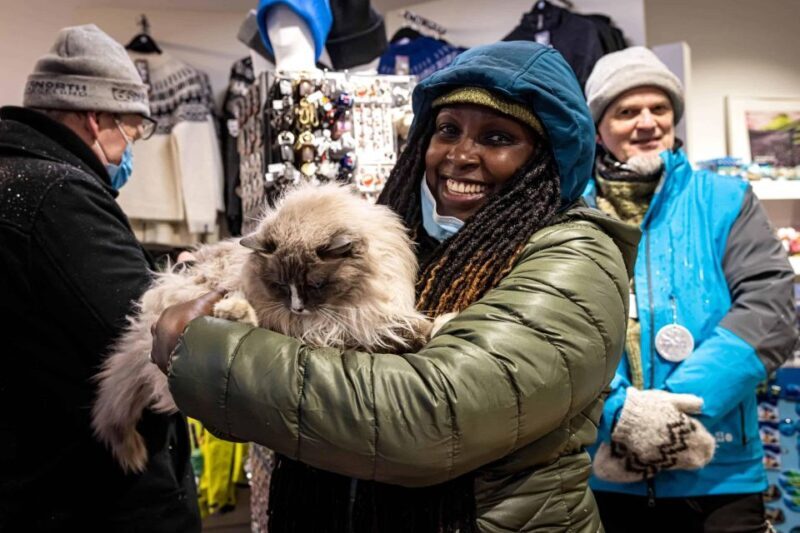 Reykjavik: Feline-Focused City Walking Tour - Practicalities and Tips