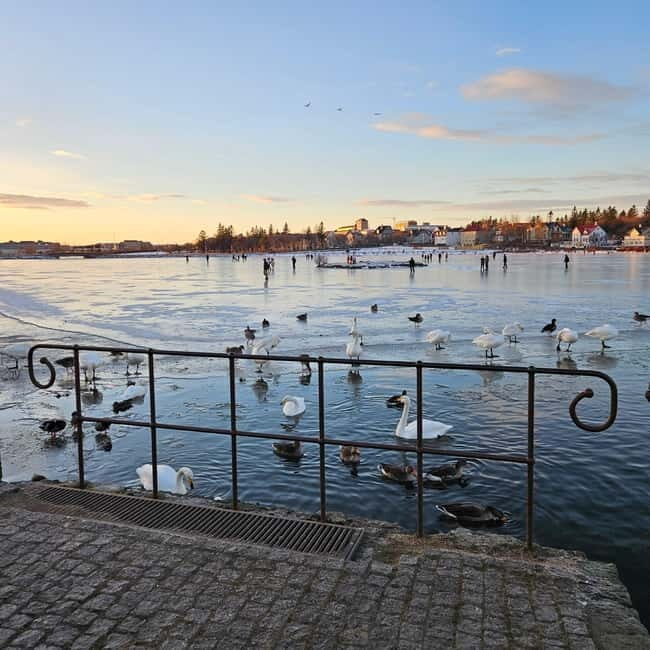 Reykjavik: Food Tour by locals - Key Points  