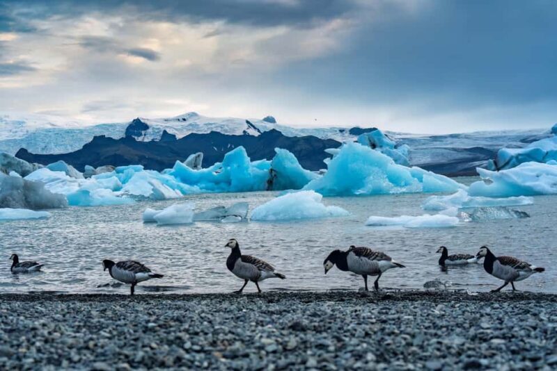 Reykjavik: Glacier Lagoon, Diamond & Black Beach - An Unbiased Look at the Itinerary