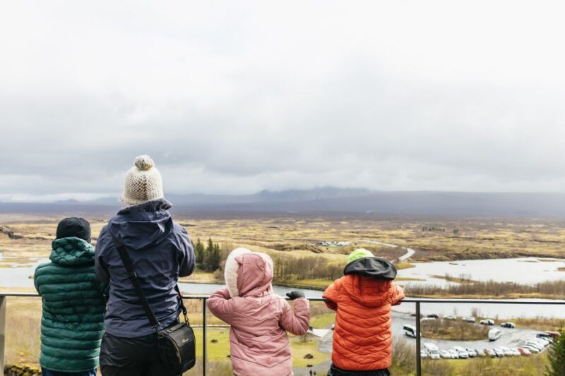 Reykjavik: Golden Circle, Crater & Blue Lagoon Minibus Tour - Authentic Experiences From Reviews