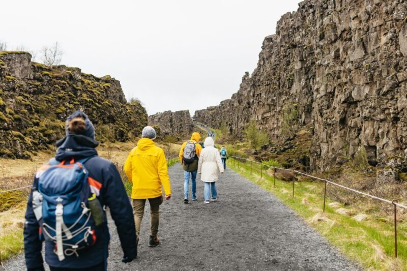 Reykjavik: Golden Circle, Crater & Blue Lagoon Minibus Tour - Who Would Love This Tour?