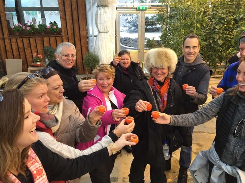 Reykjavik: Golden Circle, Farm & Sky Lagoon Small-Group Tour - The Itinerary Breakdown: What You Can Expect