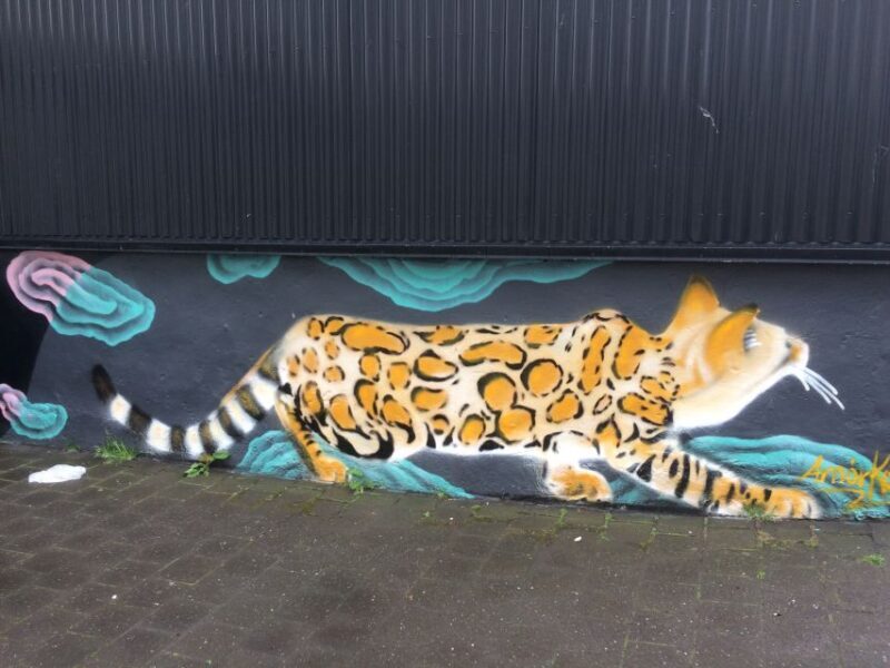 Reykjavik: Guided City Walking Tour - In Summary