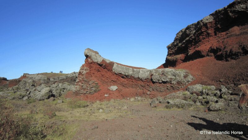 Reykjavík: Horse Riding Tours - Key Points