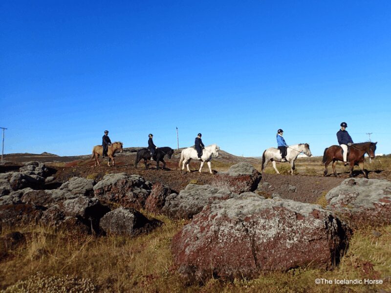 Reykjavík: Horse Riding Tours - The Experience: What You Can Expect from Start to Finish