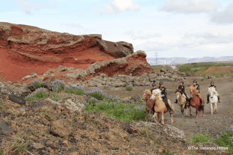Reykjavík: Horse Riding Tours - The Scenic Highlights