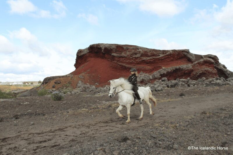 Reykjavík: Horse Riding Tours - FAQ