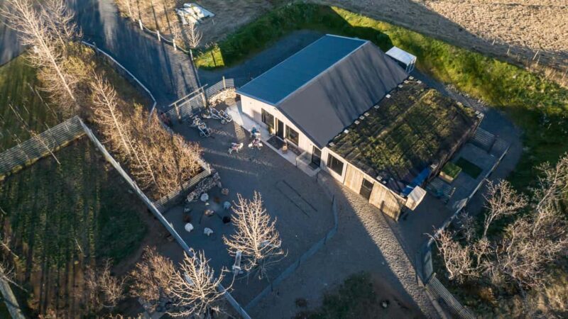 Reykjavík: Husky Kennel Visit with Hot Drinks - FAQ