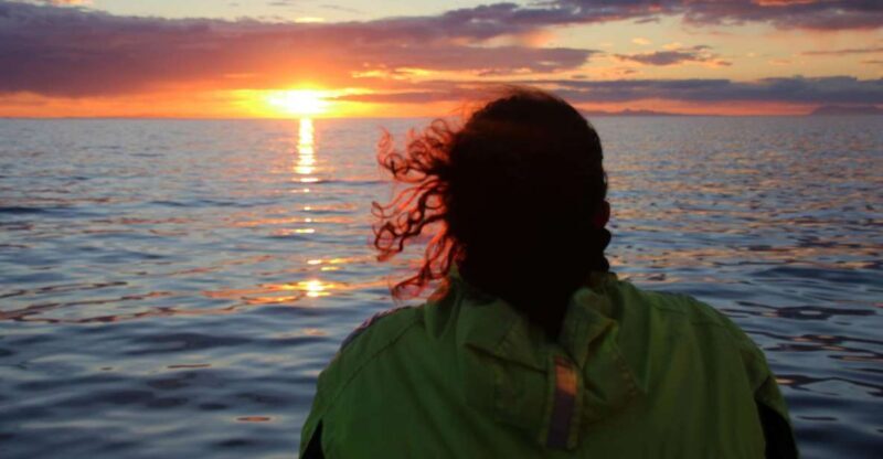 Reykjavík: Midnight Sun Whale Watching Cruise - What Makes This Tour Special?